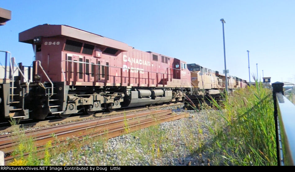 CP 8946